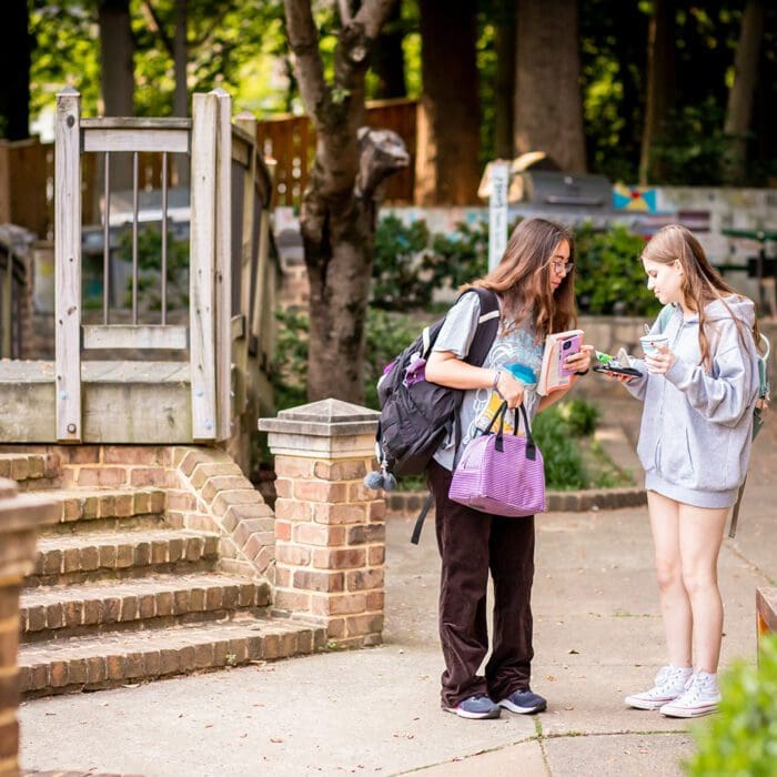 How to Apply - The New School of Northern Virginia