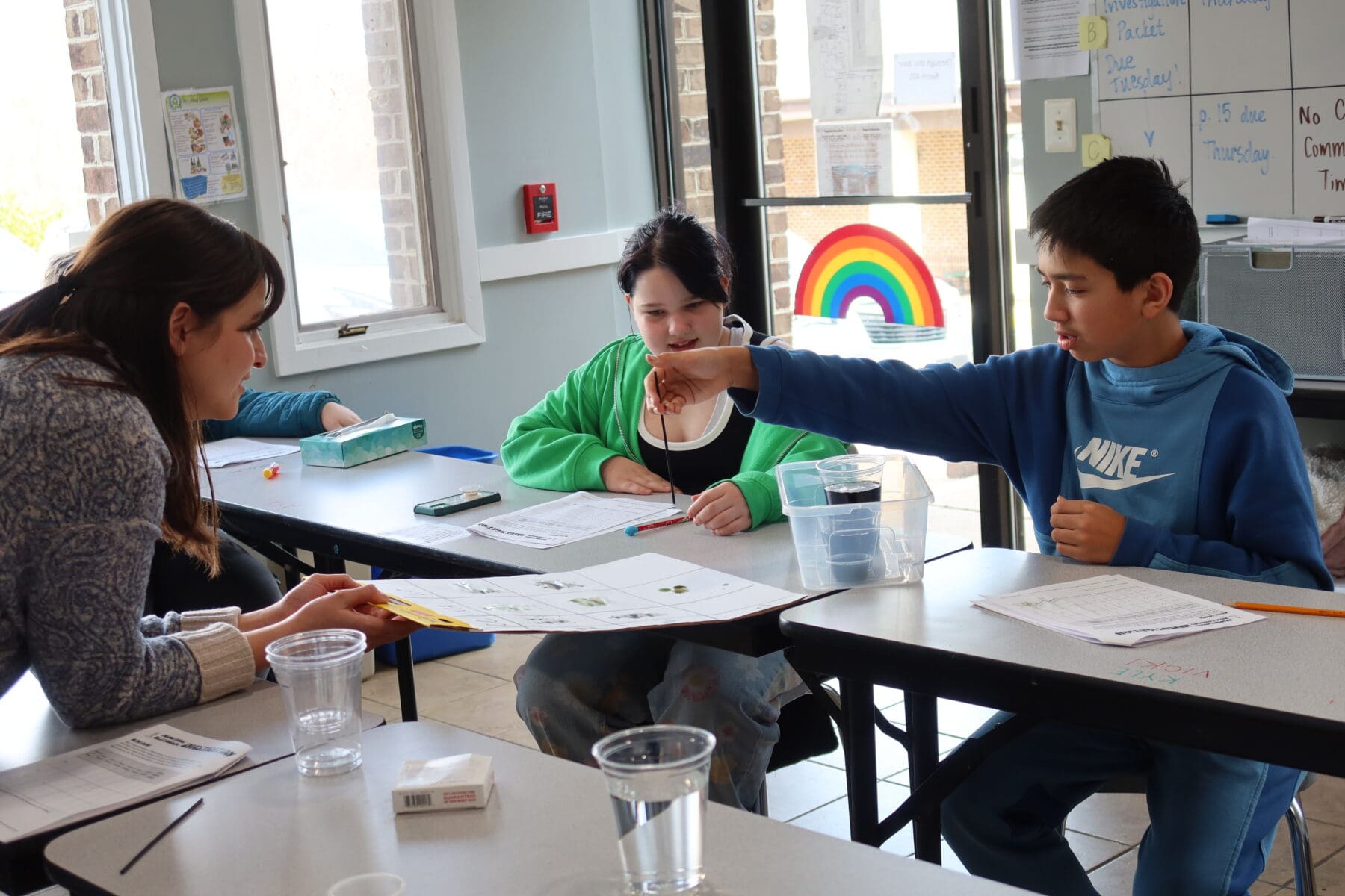 Middle School | The New School of Northern Virginia | Fairfax, VA